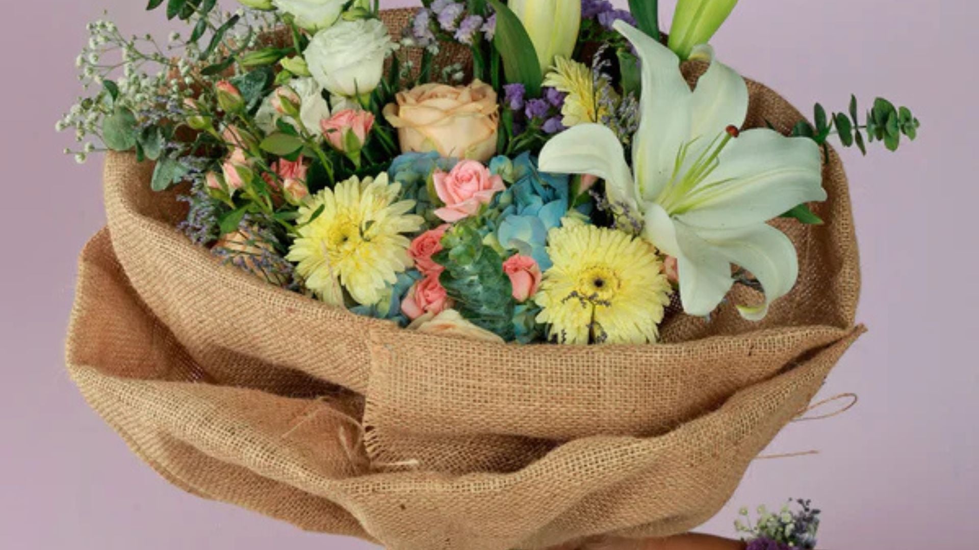 Best Seasonal Flowers to Gift This Winter - Hanabee