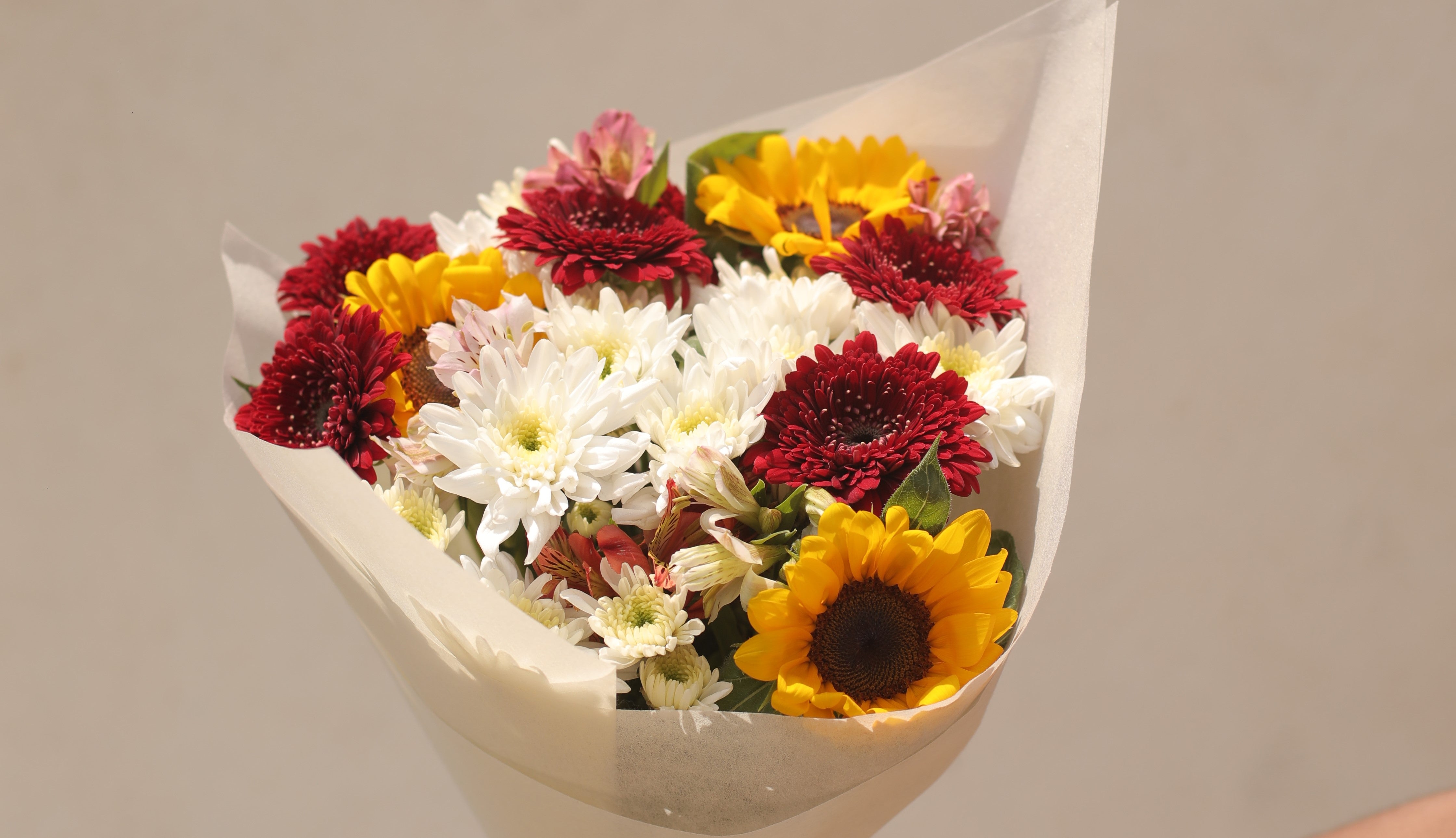 Simple Tips to Extend the Freshness of Cut Flowers – Hanabee